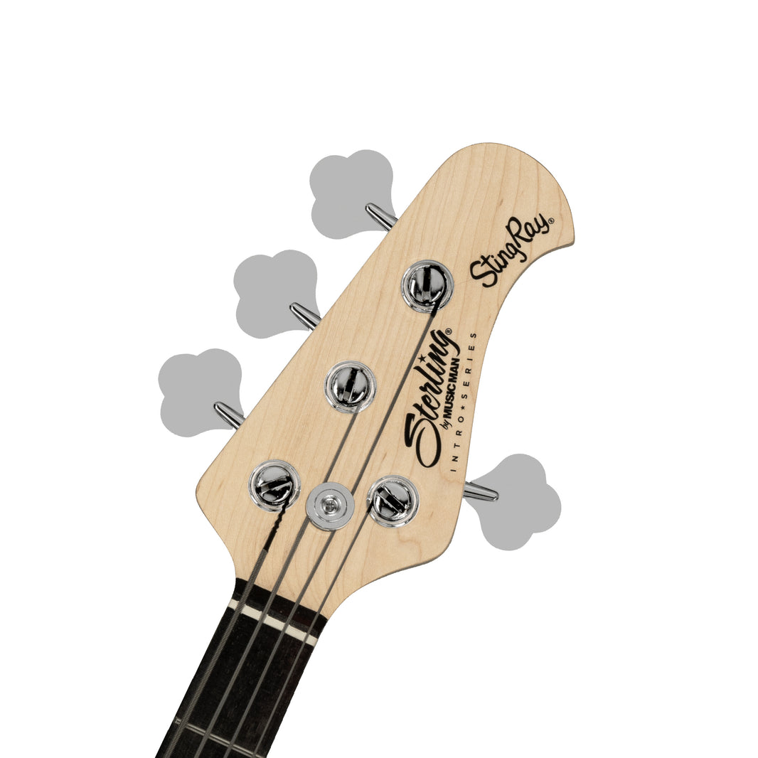 The History of the StingRay Bass: A Legacy in Sound